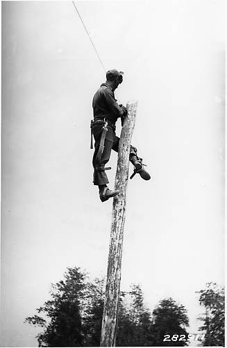 Vintage Photographs > Colville, WA 1920s, Military Lineman Upon Pole